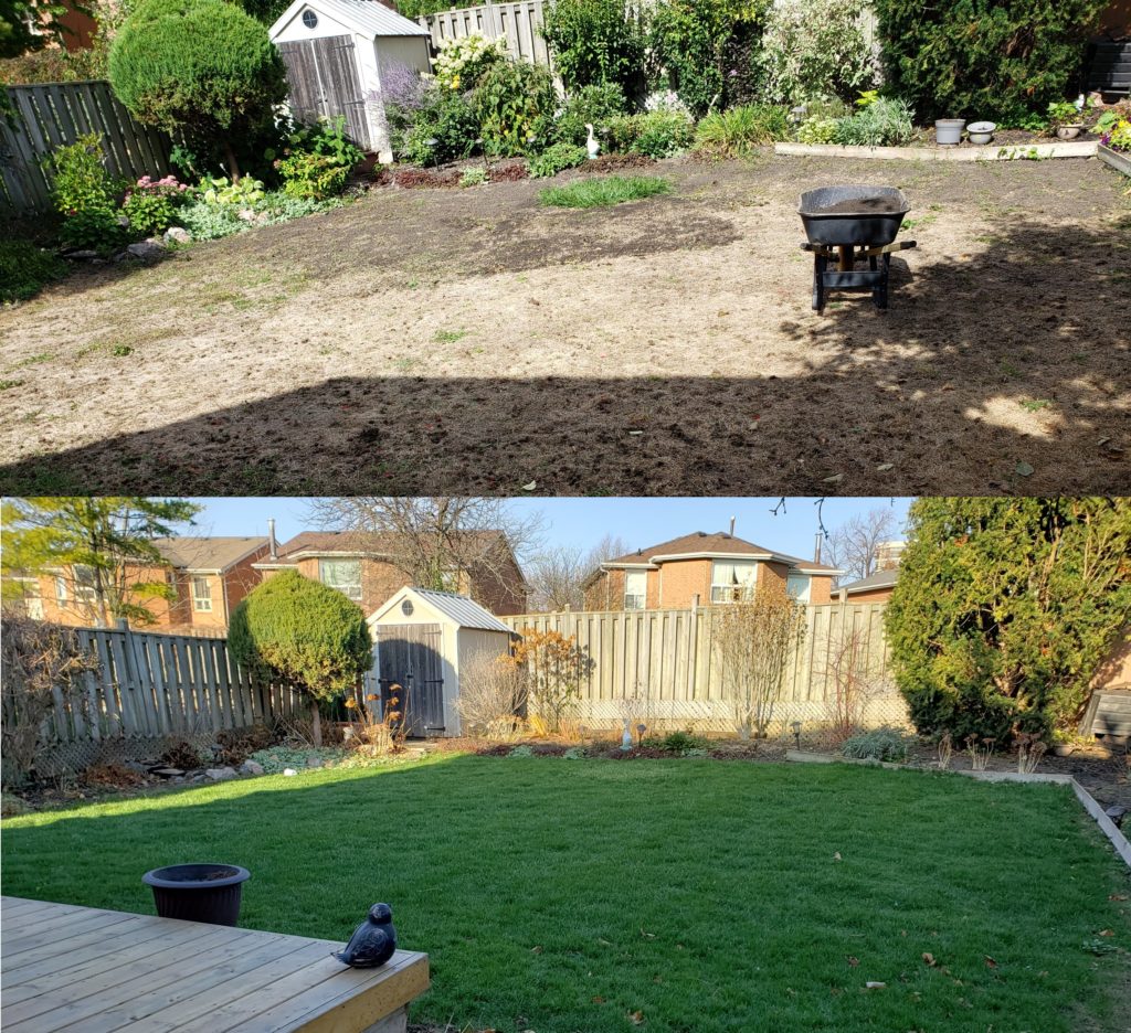 Topdressing, Soil Delivery & Installation